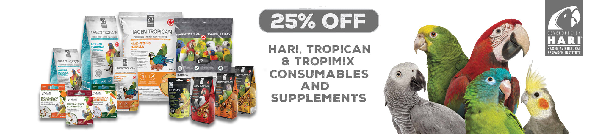 HARI – The Urban Zoo